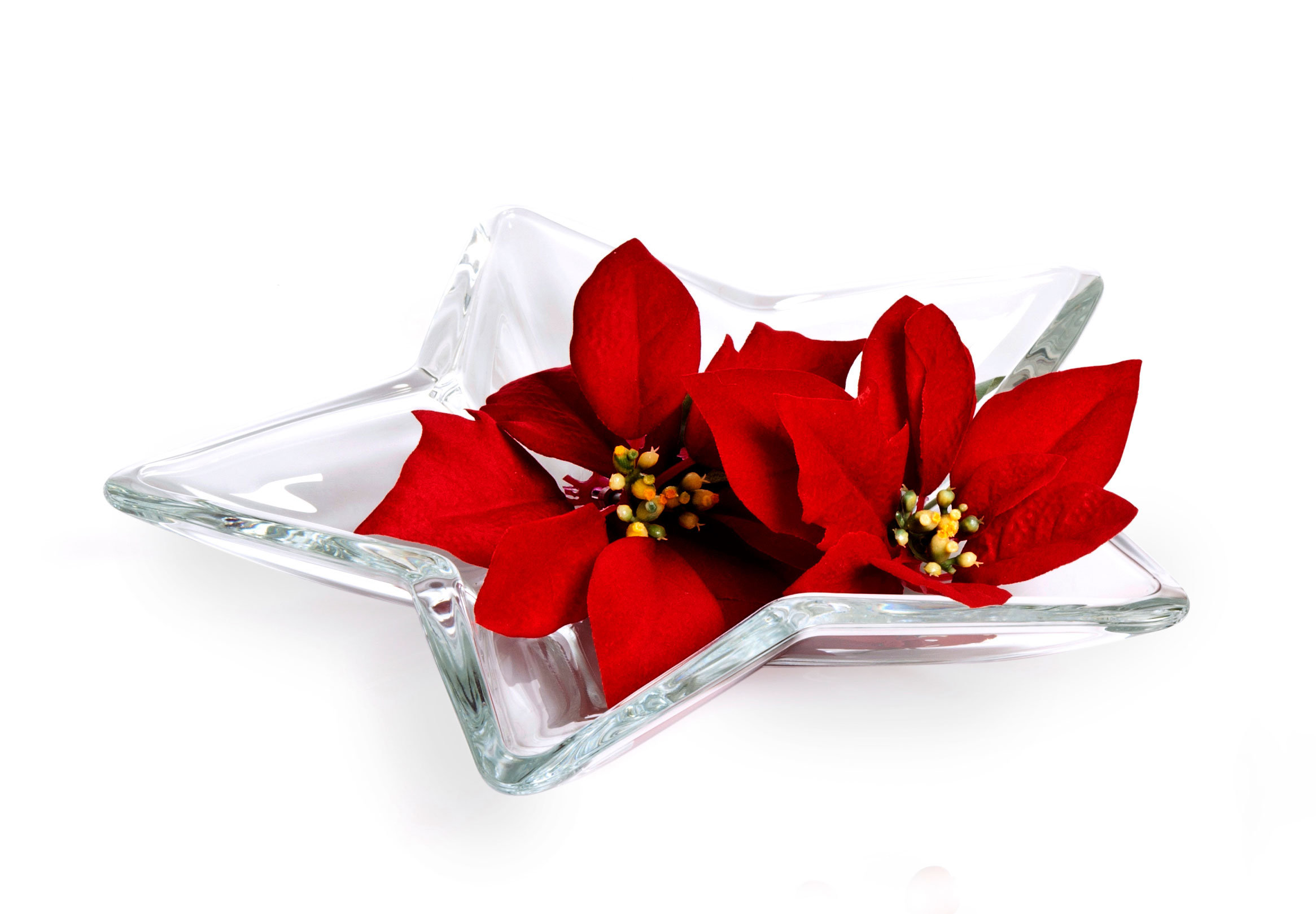 Majestic Crystal Stella Star Shaped Glass Centerpiece | Wayfair