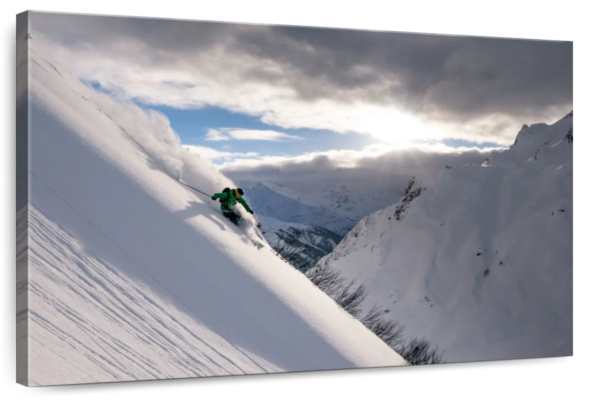 Elephant Stock Arlberg Valley Powder Skiing - Wayfair Canada