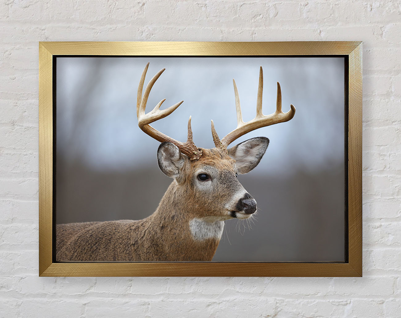 Bright Star Stag Looking Onwards - Print | Wayfair.co.uk