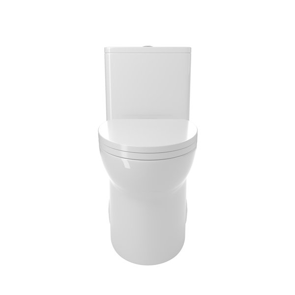 Bothwa Home LLC 1.1/1.6 GPF Antimicrobial, Leak Resistant, Dual Flush ...