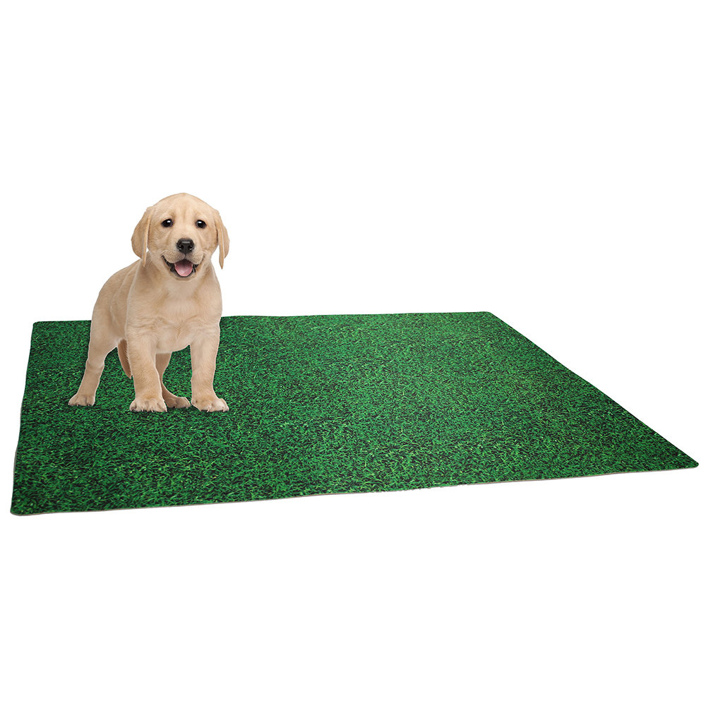 Drymate Washable Pee Pad for Dogs - Waterproof, Absorbent, Non-Slip ...