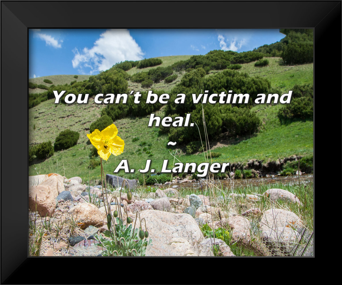 Latitude Run® A. J. Langer Quote: You can’t be a victim and heal. | Wayfair