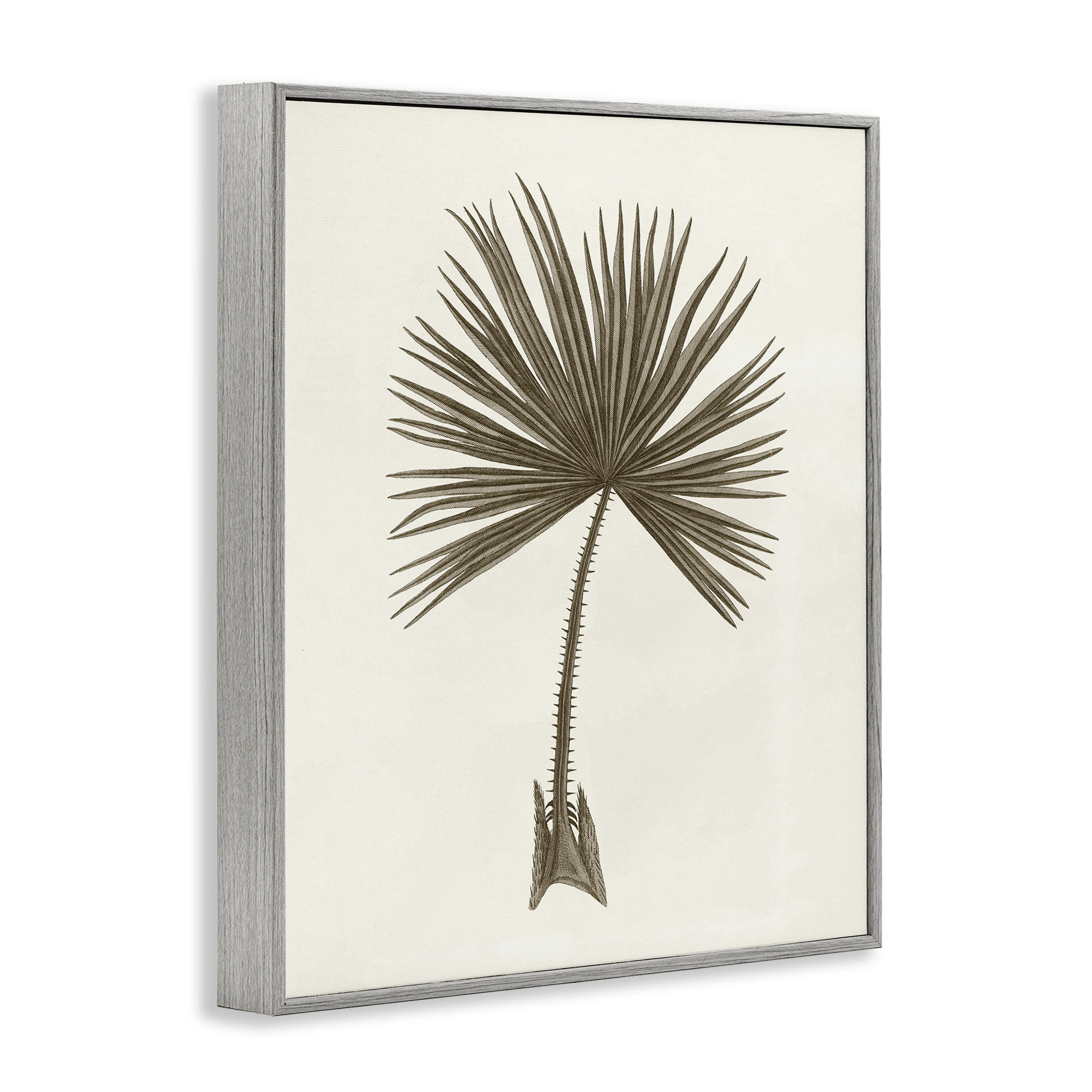 Ebern Designs Vintage Study of Palm Leaf Framed Giclee, design by ...