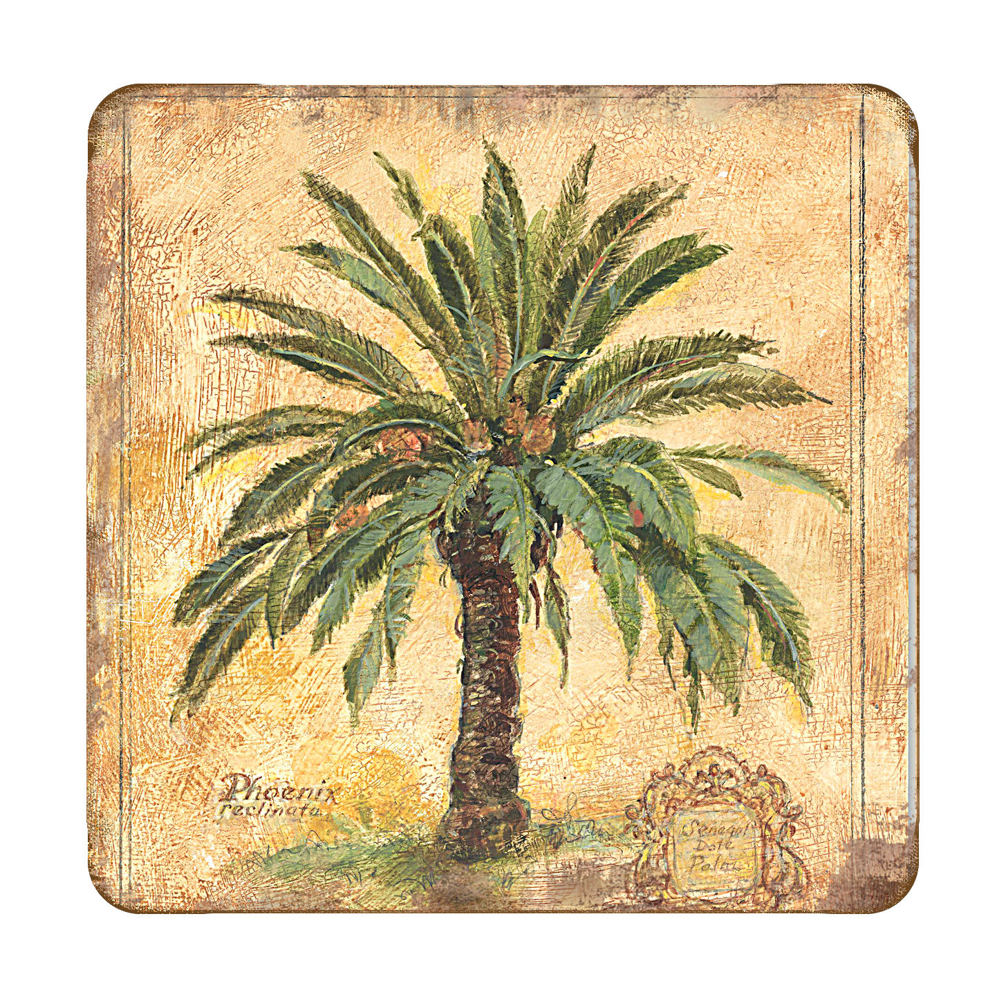 Bayou Breeze Palm Tree Coaster Set Of 4 - Wayfair Canada