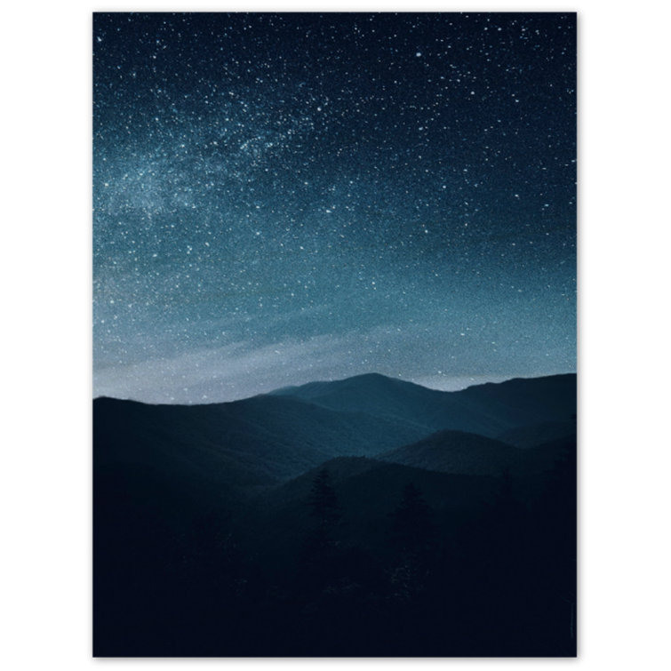 Millwood Pines Starry Sky Print | Wayfair