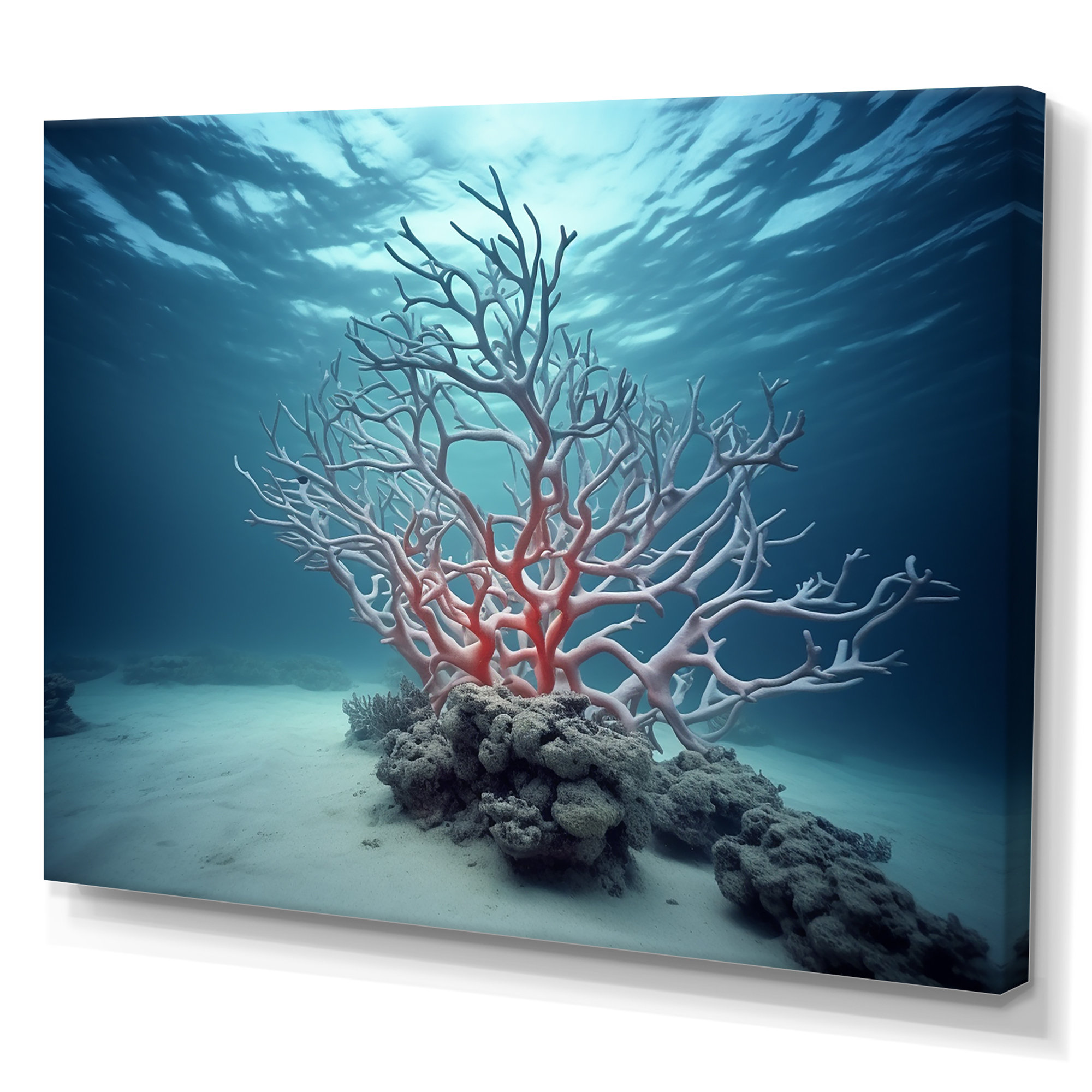 Highland Dunes Pink Branching Coral Serenity - Beach & Ocean Canvas Art ...