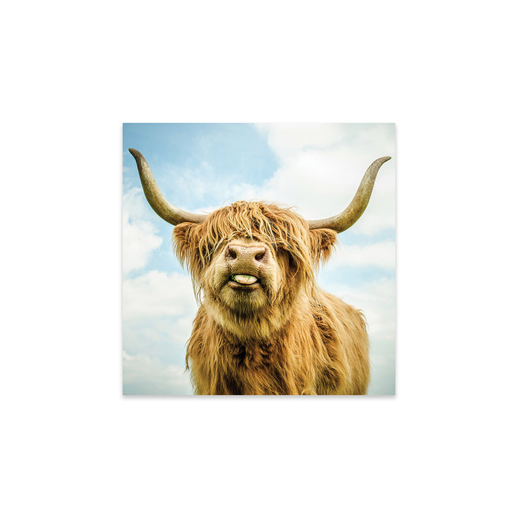 Foundry Select Highland Cow On Plastic / Acrylic by Mark Gemmell Print ...