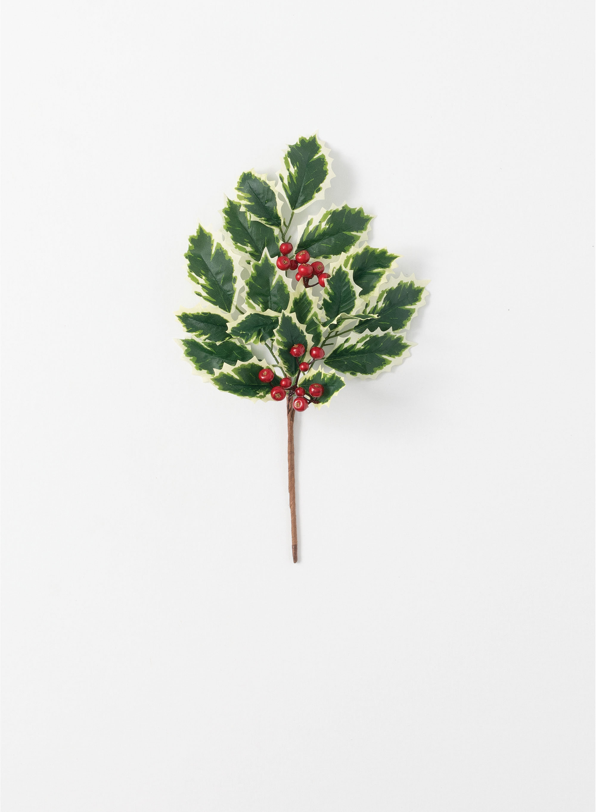 The Holiday Aisle® Variegated Holly Stem | Wayfair