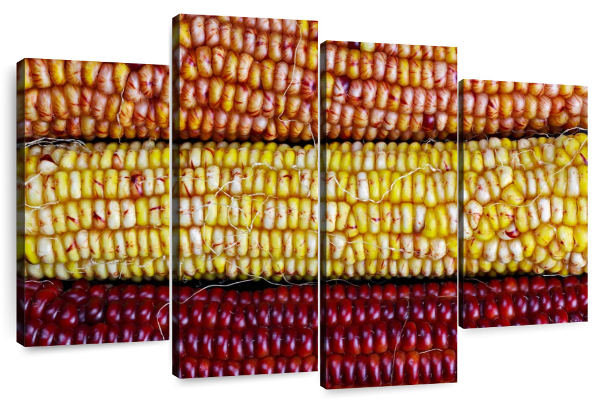 Lark Manor™ Harnek Indian Corn Varieties Wayfair