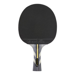 STIGA Raptor Performance Table Tennis Racket & Reviews | Wayfair