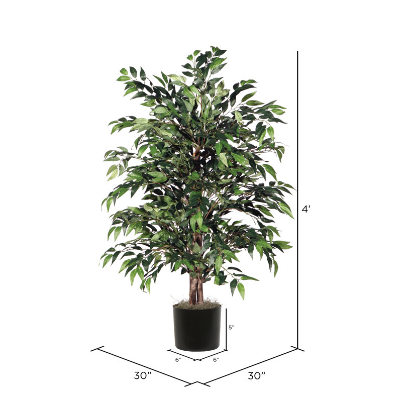 Three Posts™ 42" Smilax Ficus Tree in Planter & Reviews | Wayfair