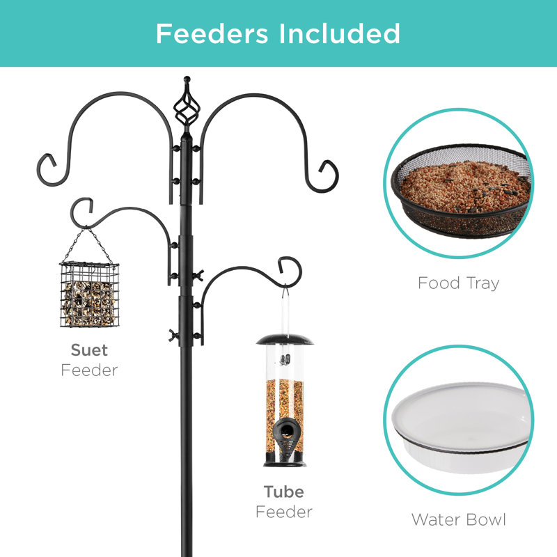 Winston Porter Yajaira 91in 4-Hook Bird Feeding Station, Steel Multi ...