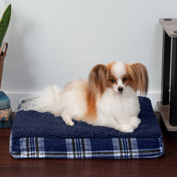 FurHaven 2.8'' H & Reviews | Wayfair