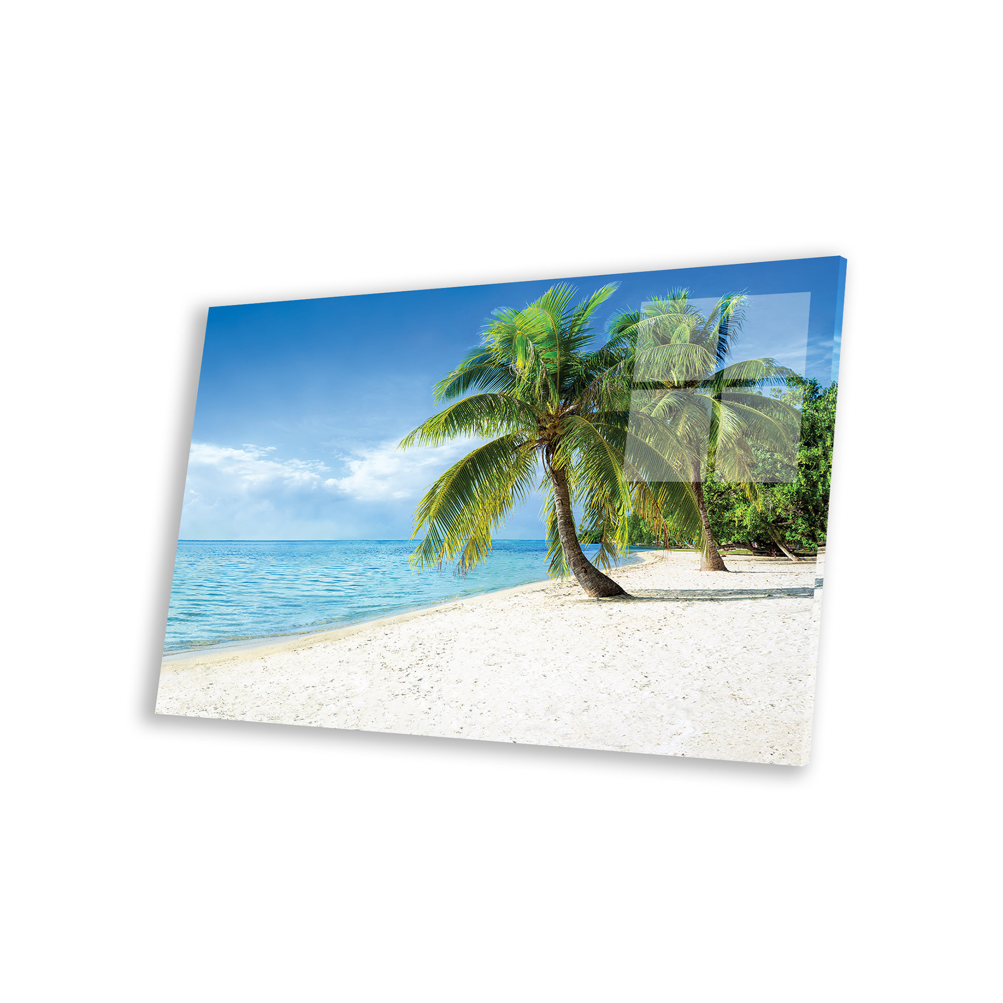 Highland Dunes Tropical Paradise In The South Sea, Bora Bora Atoll On ...