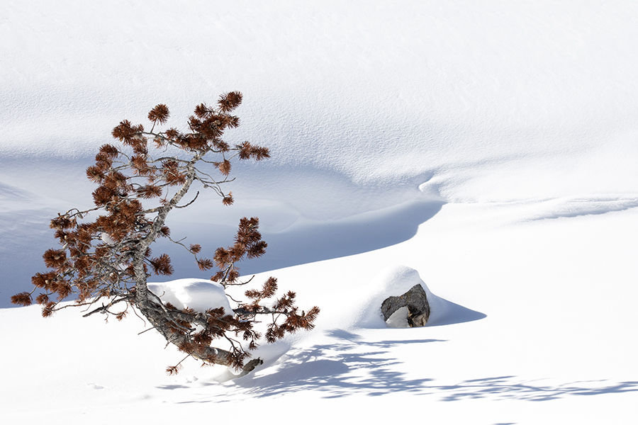 Chelsea Art Studio Lone Tree Hill by Curt & Stacy Howell - Photograph ...