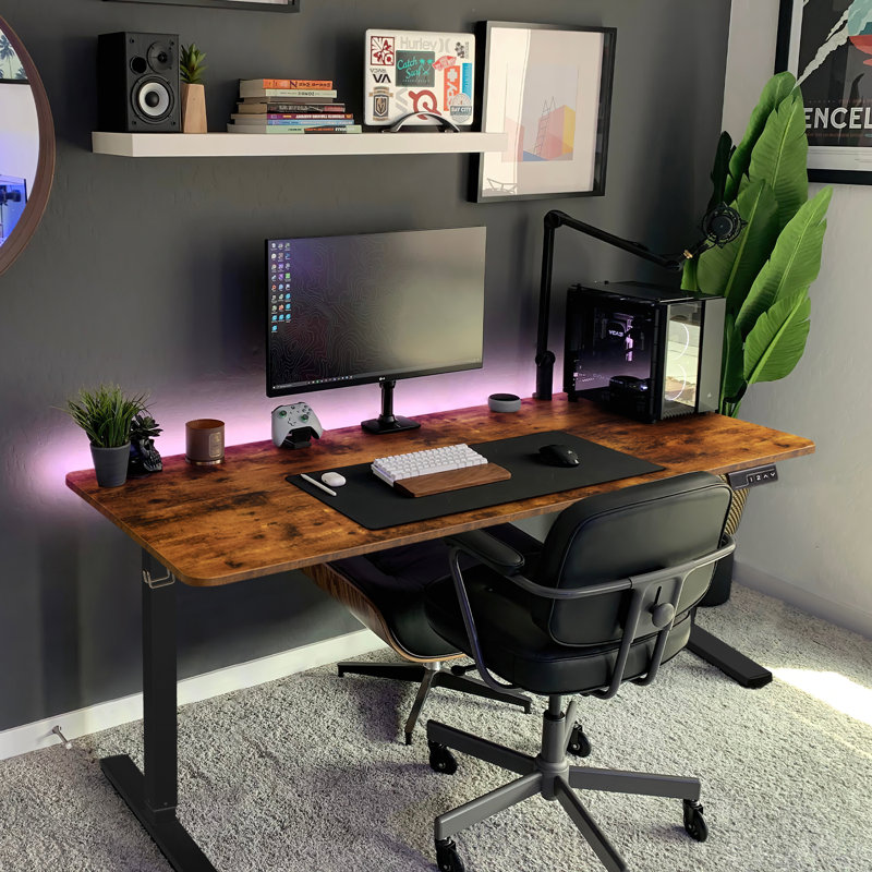 The Twillery Co.® Hassett Ergonomic Height Adjustable Standing Desk ...