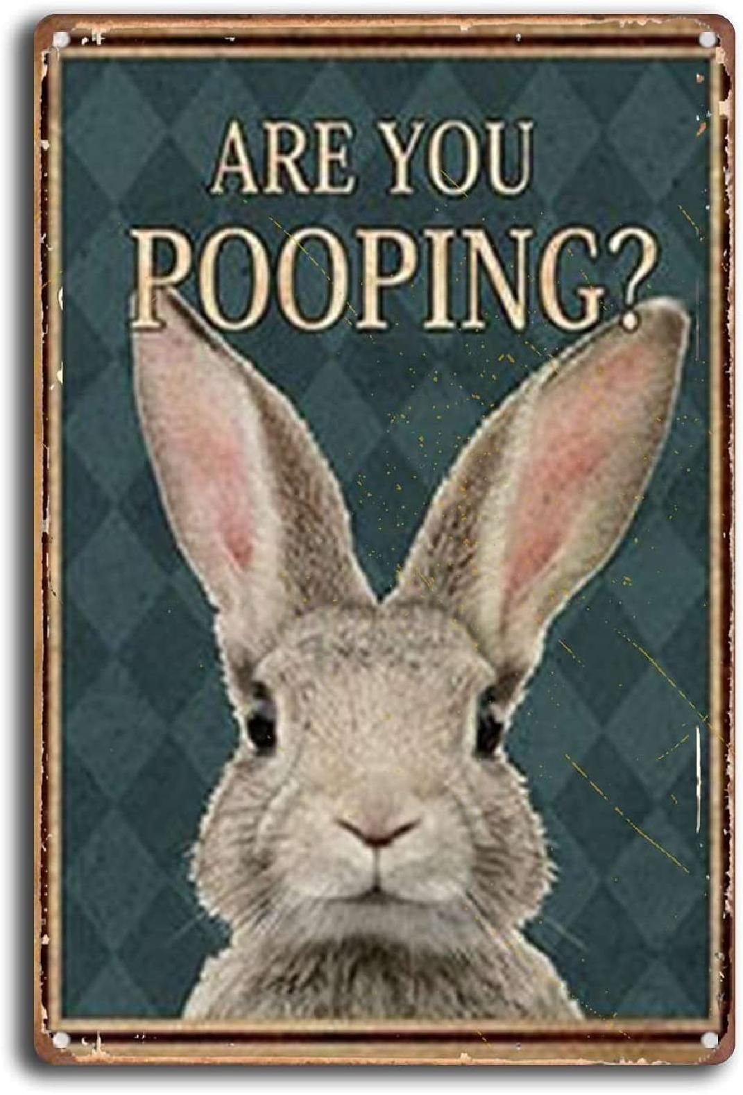 Rosalind Wheeler Rabbit Poster Funny Rabbit Decor Bathroom Decor ...