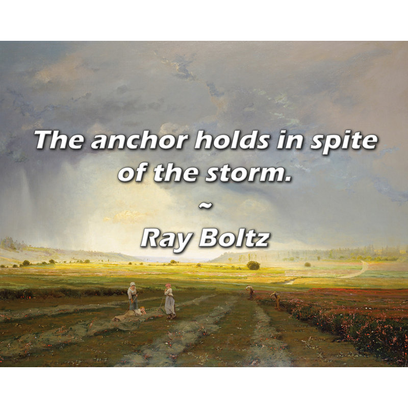 Trinx Ray Boltz Quote: The anchor holds in spite of the storm. | Wayfair