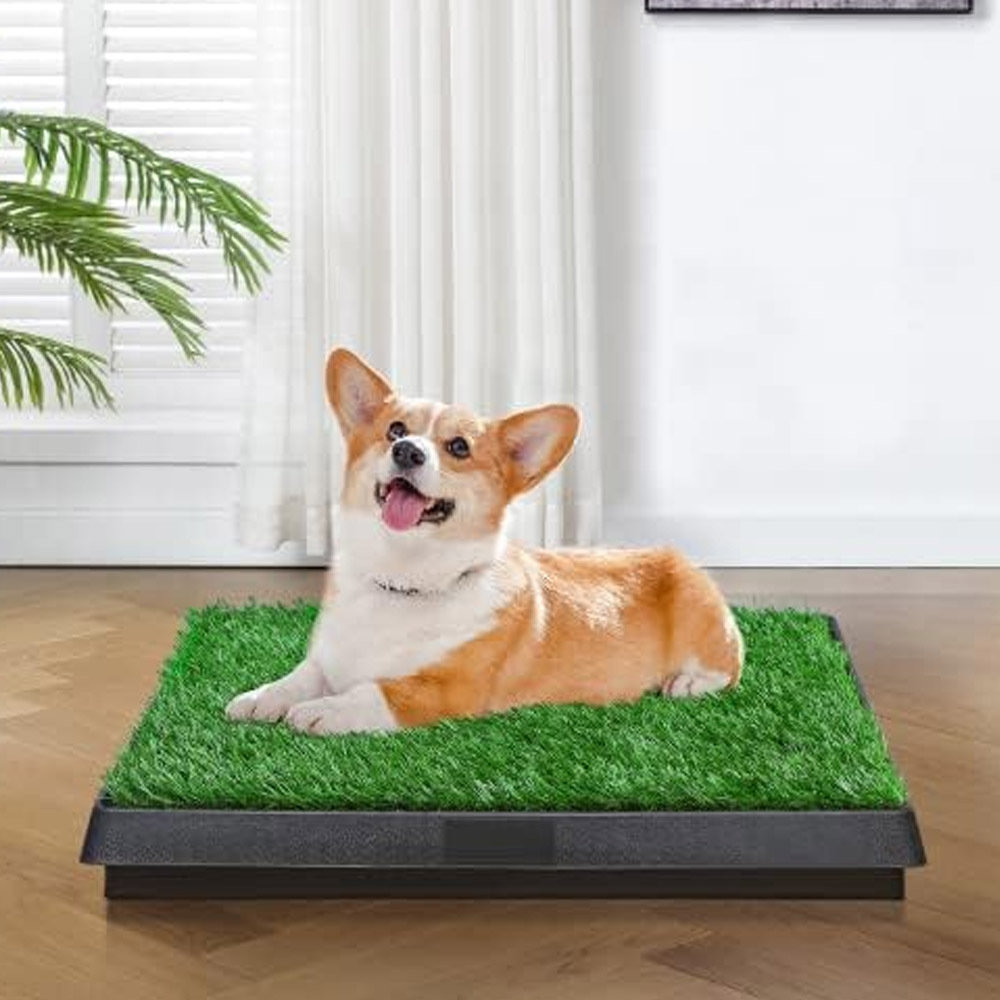 Tucker Murphy Pet™ Artificial Turf Pet Toilet Dog Potty With ...