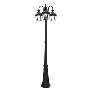 Canora Grey Multi Head Black Outdoor Post Light With Clear Beveled ...