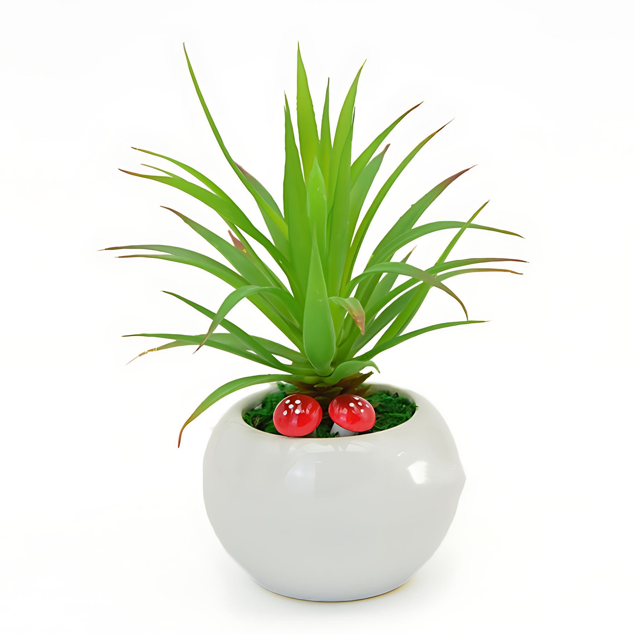 Primrue Simulated Succulent Plant Decoration Small Ornament Living Room ...