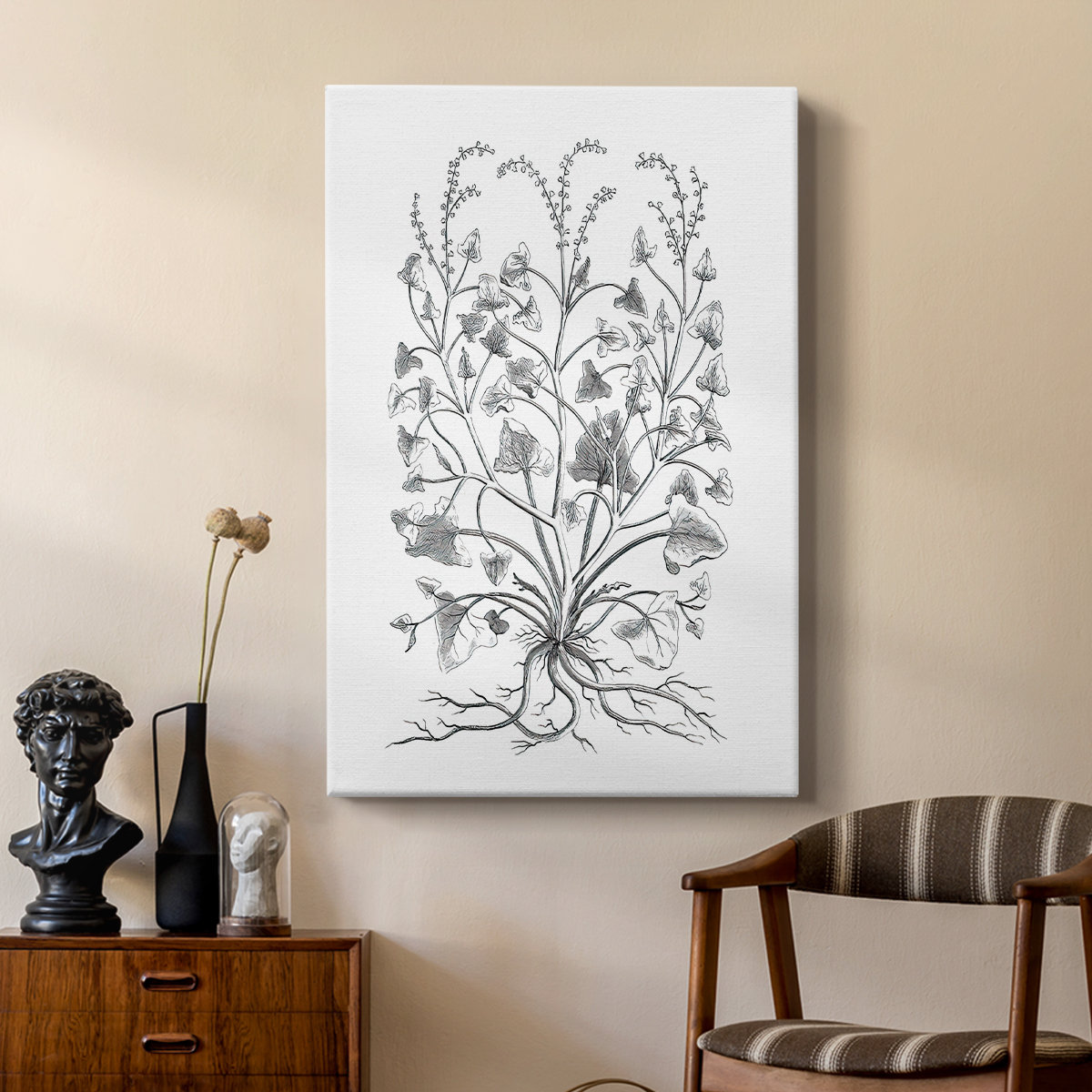 Ophelia & Co. B&W Plant Specimen VIII -Custom Wrapped Gallery Cavas ...