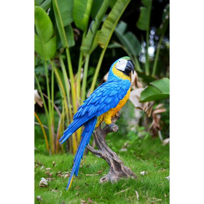 Hi-Line Gift Ltd. Macaw Statue & Reviews | Wayfair