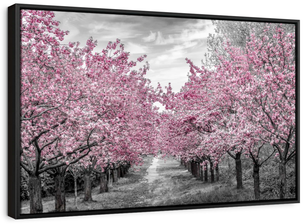 Red Barrel Studio Charming Cherry Blossom Alley Canvas Print - Wayfair ...