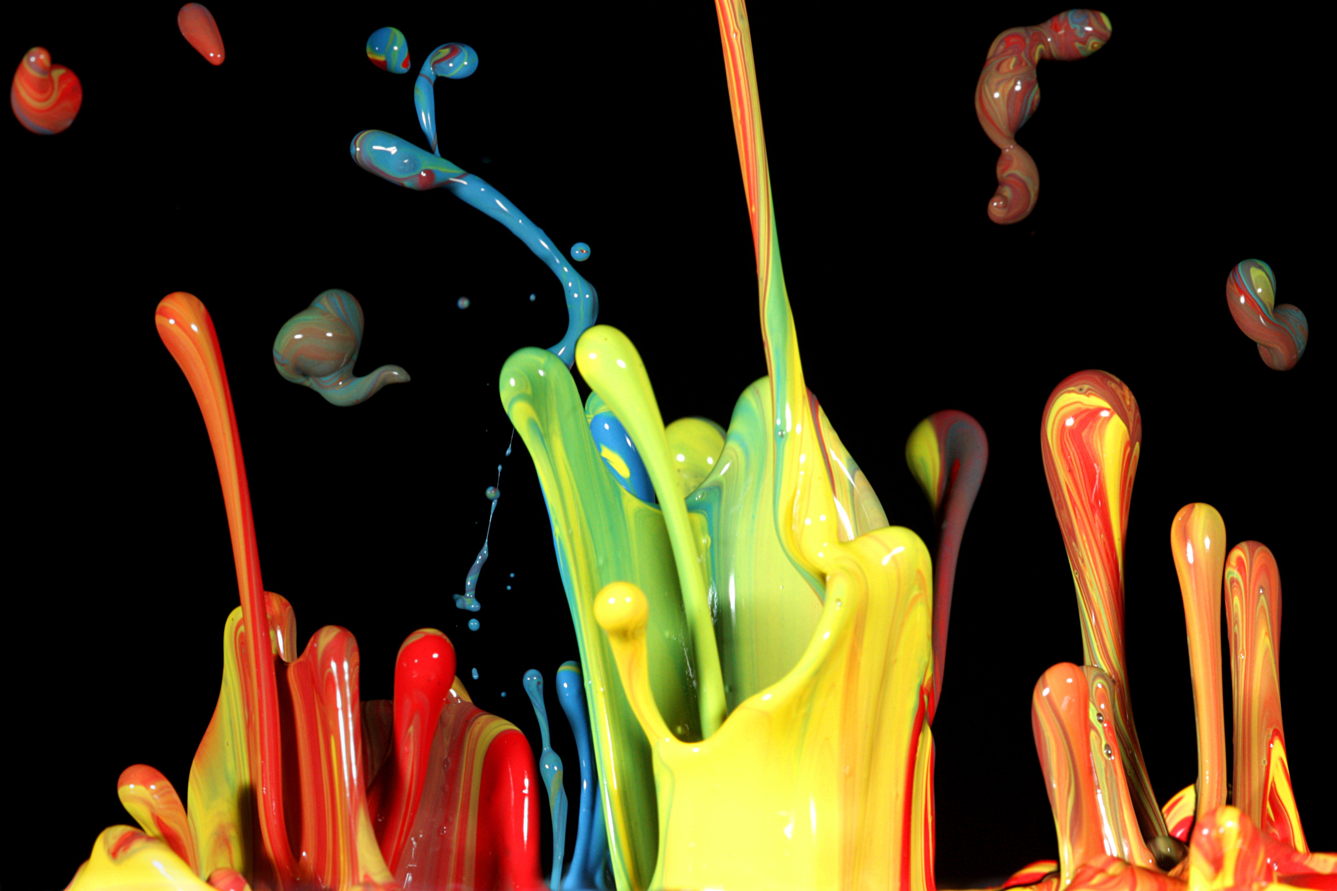 Wildon Home® Stancliff Jumping Paint by Stevegreen1953 | Wayfair