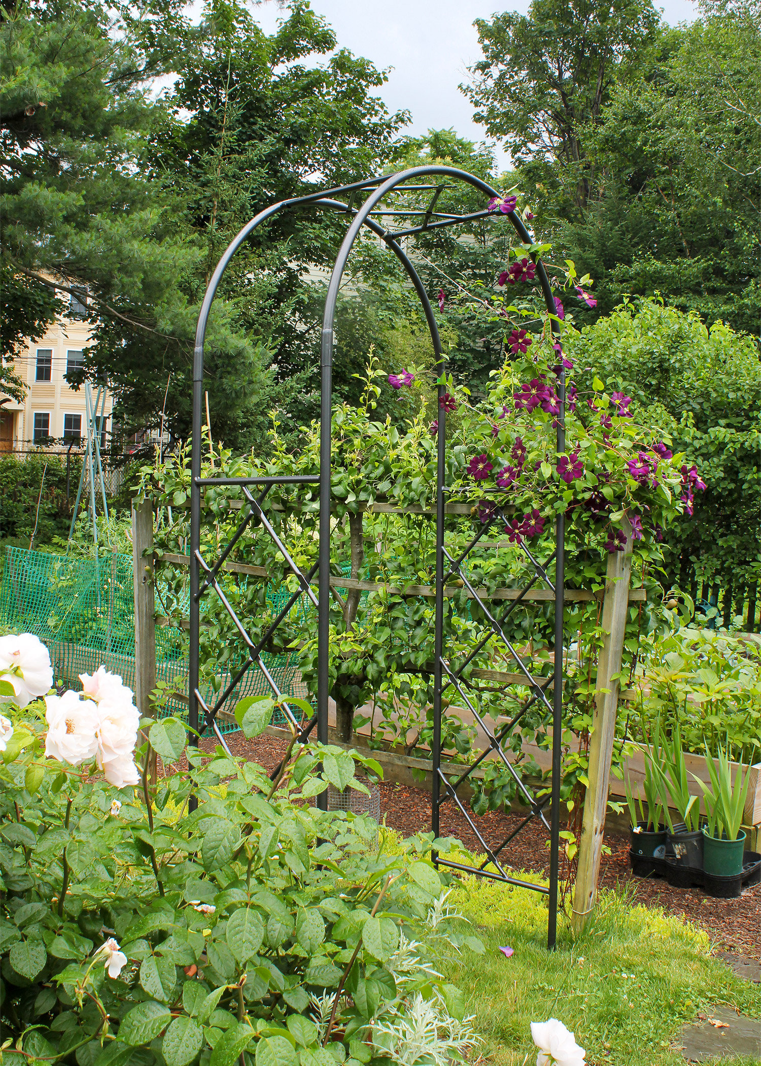 Charlton Home® Mountville Iron Arbor & Reviews | Wayfair