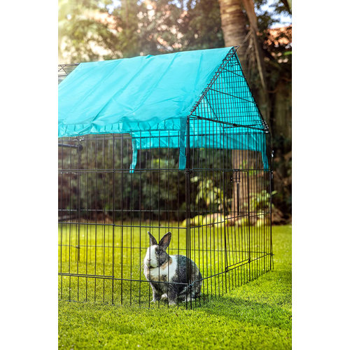 Tucker Murphy Pet™ Debbey Weather Resistant Small Animal Cage | Wayfair