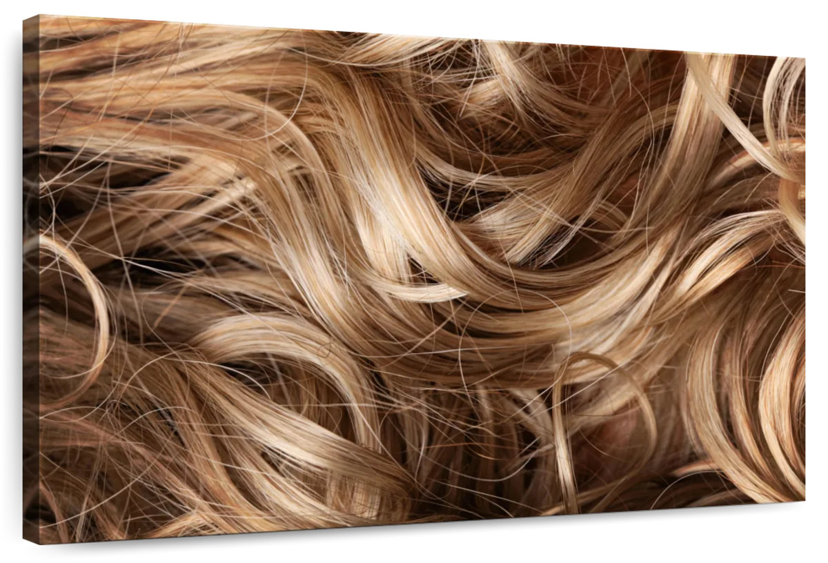 Elephant Stock Ruffled Blonde Hair | Wayfair