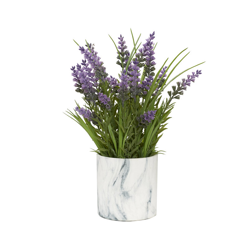 Primrue Lavender in Marbled Ceramic Pot | Wayfair