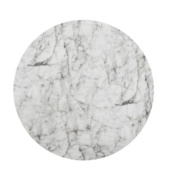 Willa Arlo™ Interiors Tynan Coffee Table & Reviews | Wayfair