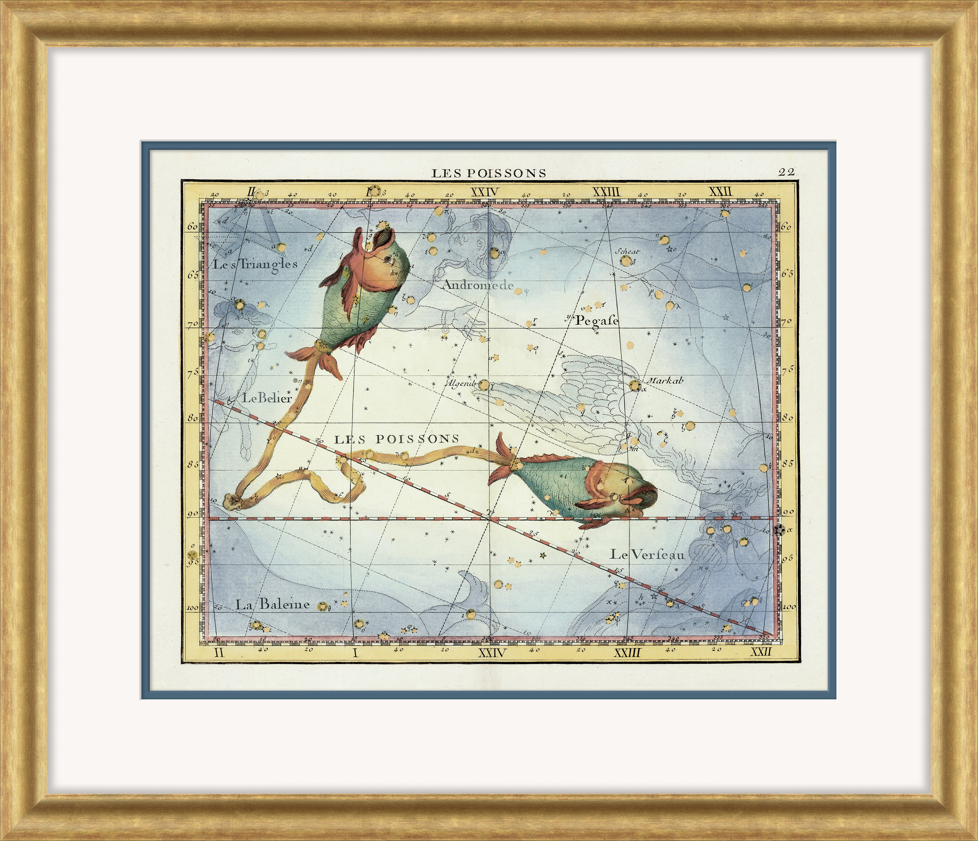 Soicher Marin Pisces by David Phoenix - Picture Frame Painting on Paper ...