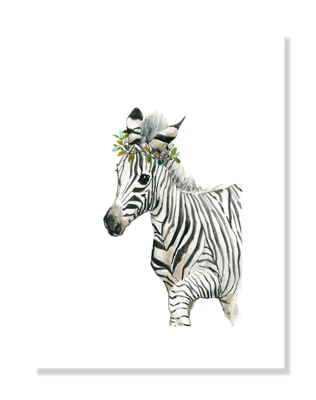 Casa Fine Arts Juvenile Rolled Savannah Zebra Paper Print | Wayfair