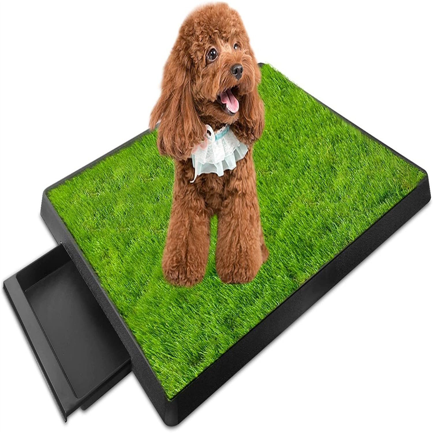 Latitude Run® Indoor/Outdoor Dog Litter Box – Portable Puppy Potty ...