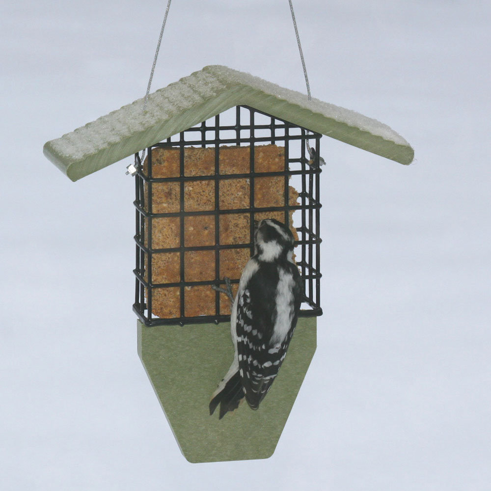 Birds Choice Hanging Suet Bird Feeder & Reviews | Wayfair