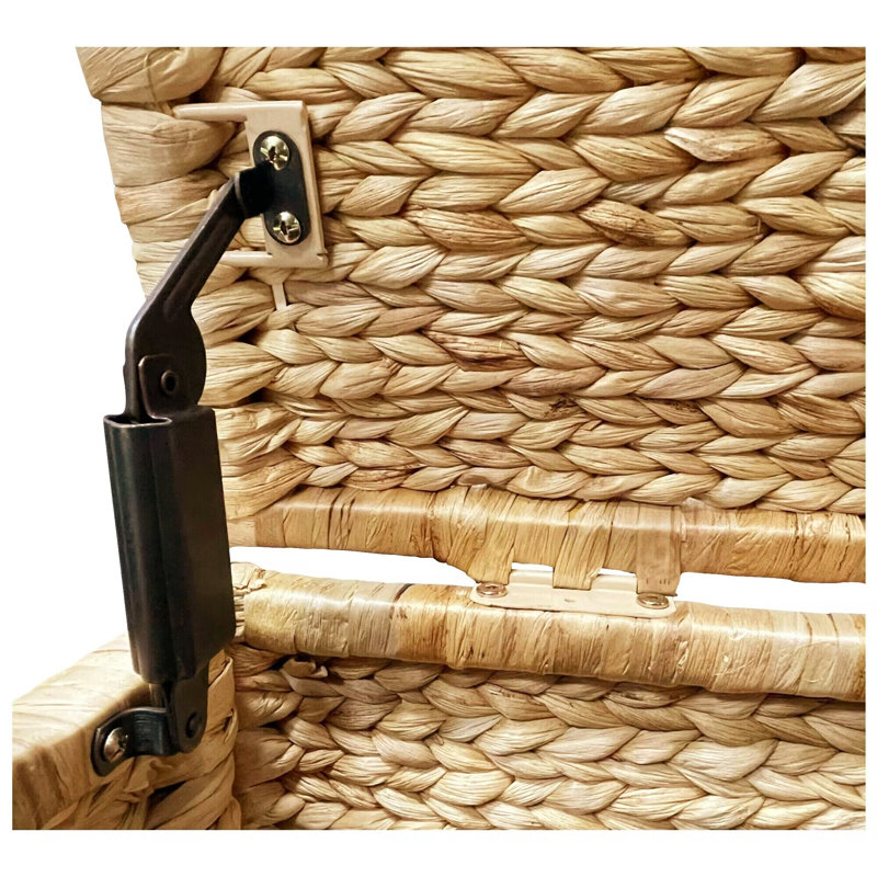 Highland Dunes Ved Heavy-duty Water Hyacinth Wicker Storage Trunk with ...