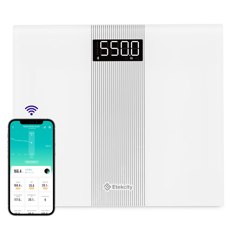 Etekcity 550 Pound Digital Body Weight Scale | Wayfair