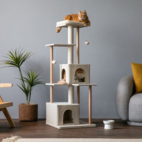 Cat Trees & Cat Furniture - Wayfair Canada