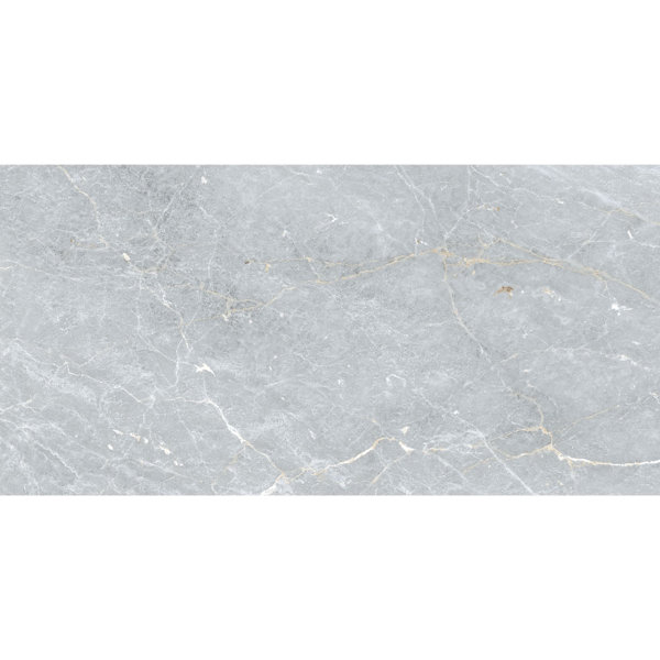 MALAKAN INC. 24" X 48" Porcelain Marble Look Wall & Floor Matte Gray ...