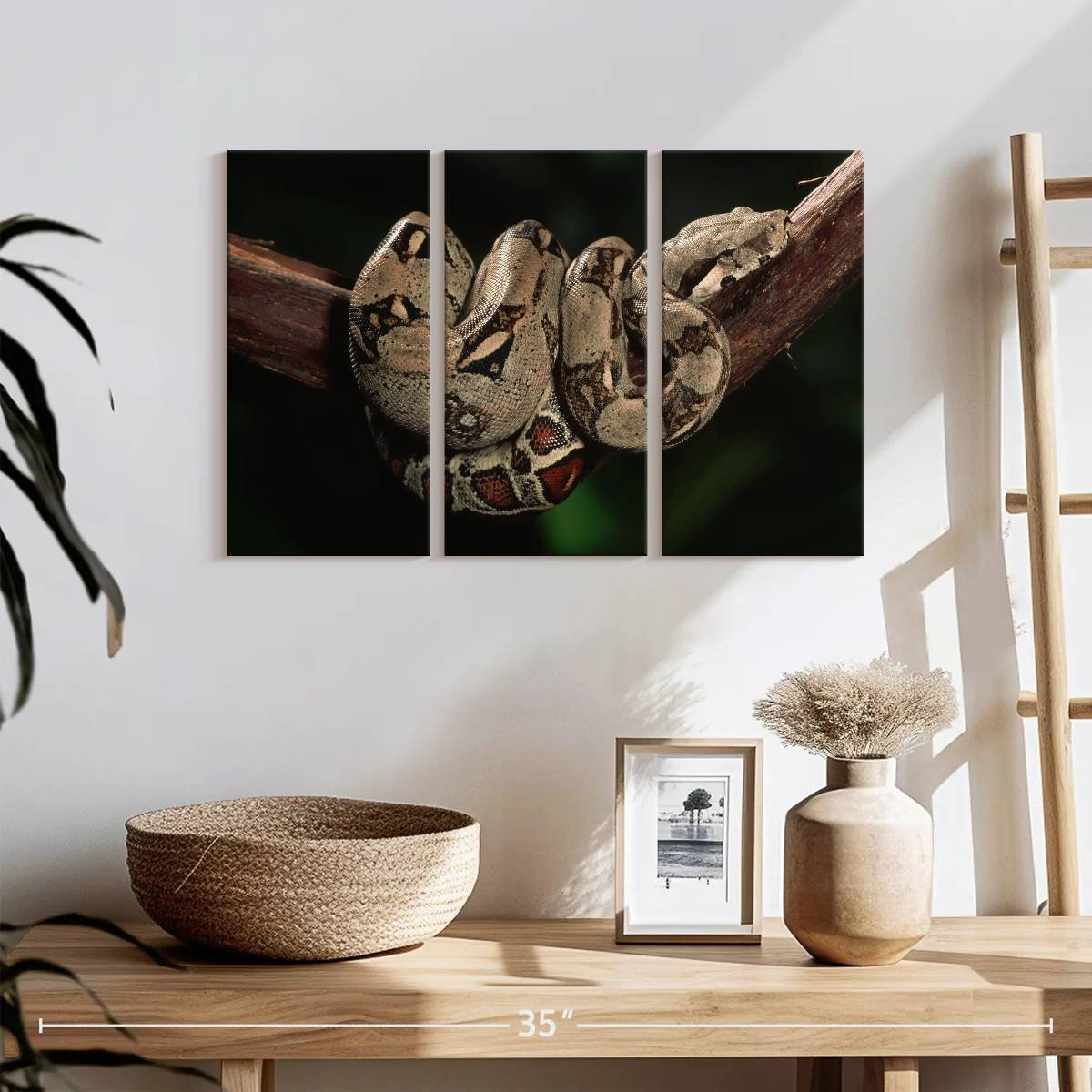 Latitude Run® Brown Boa Constrictor | Wayfair