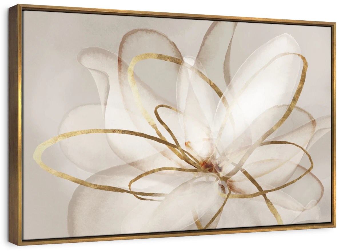 Lark Manor Harnek Transparent Beauty - Wayfair Canada