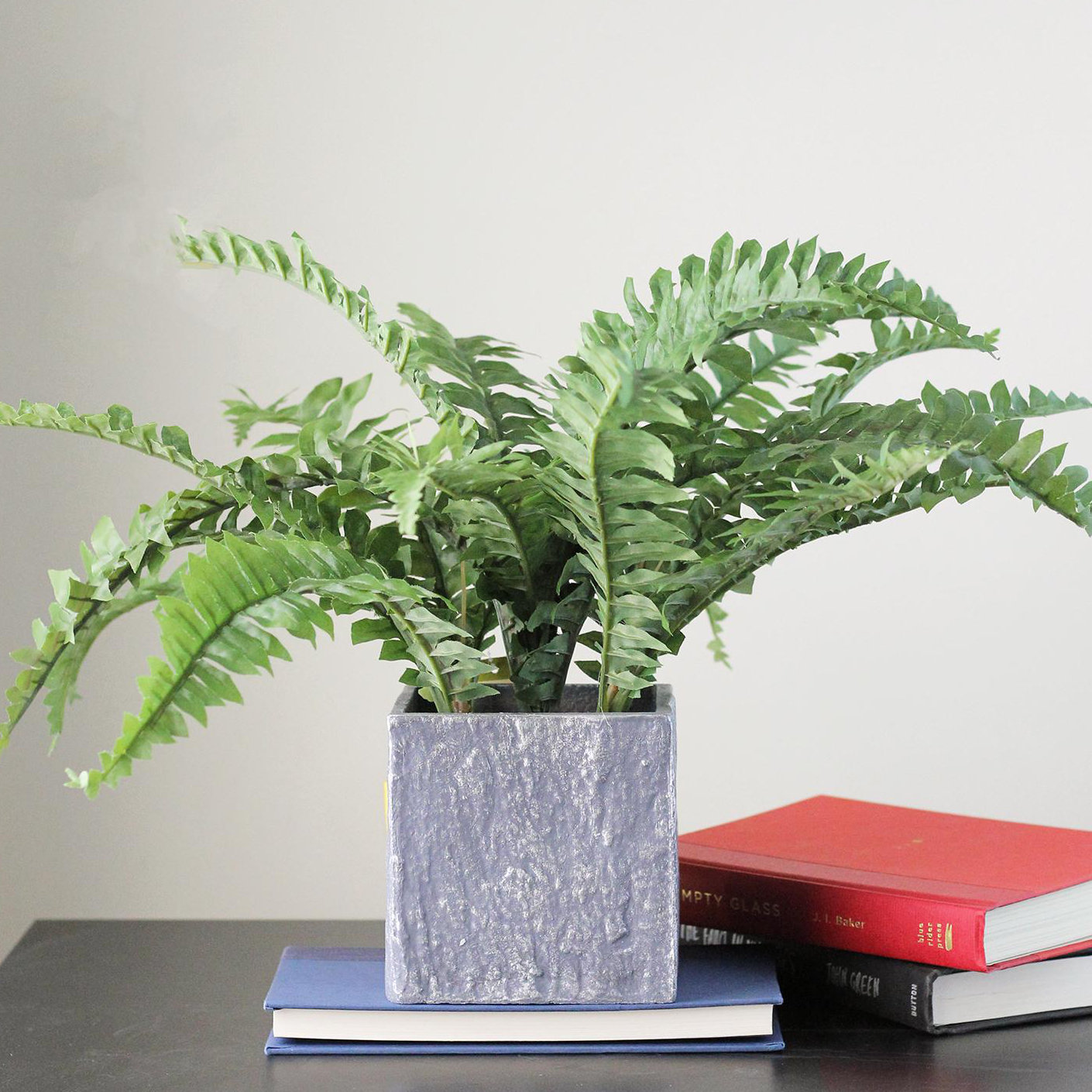 Northlight Seasonal 13" Artificial Boston Fern in Decorative Stone Look ...