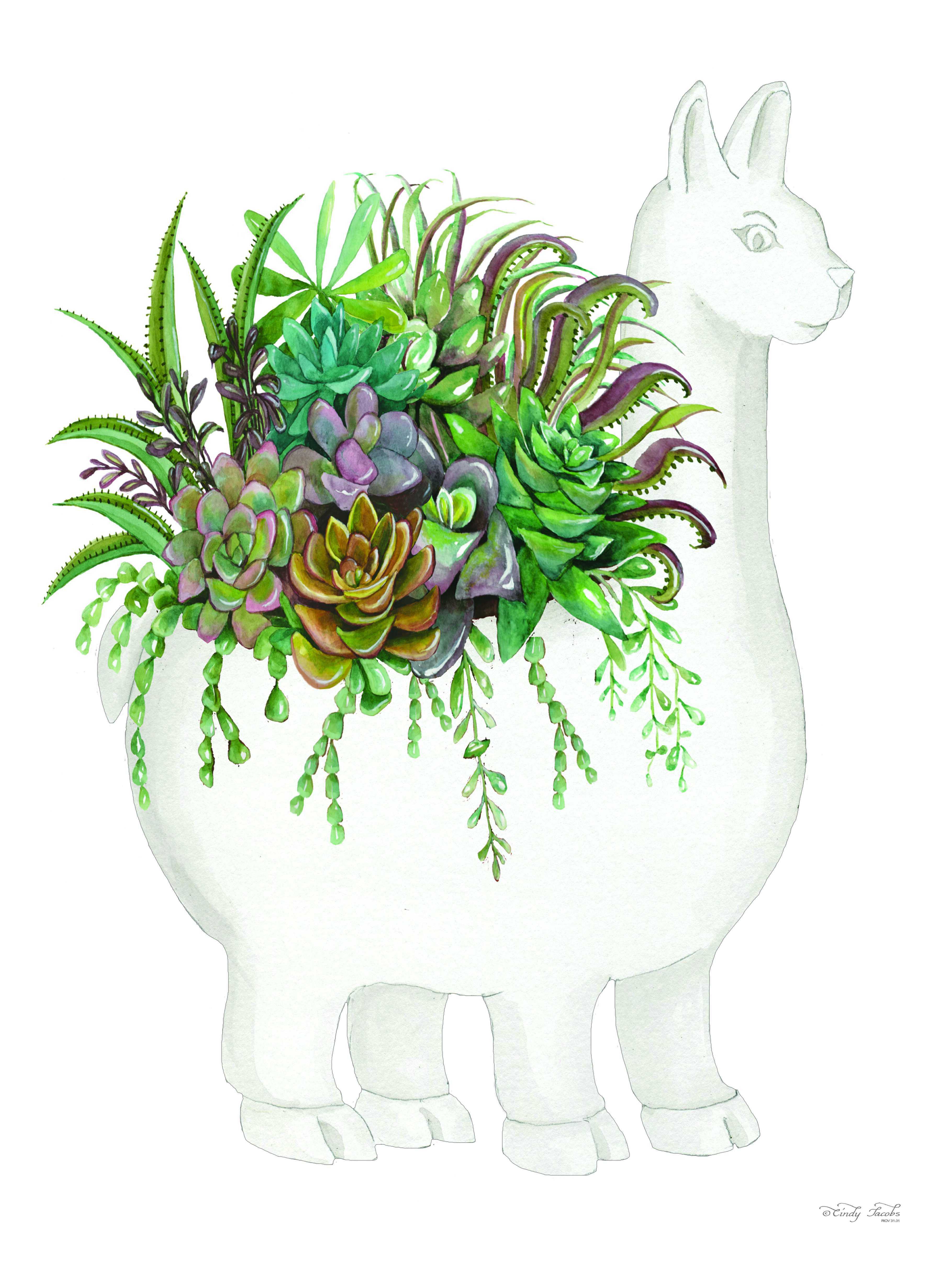 Bungalow Rose Proud Llama Pot I by Cindy Jacobs - Print - Wayfair Canada
