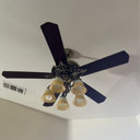 FINXIN 52'' Ceiling Fan with Light Kit & Reviews | Wayfair