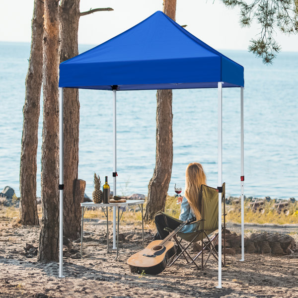 COOS BAY 5 Ft. W x 5 Ft. D Steel Pop-Up Canopy | Wayfair