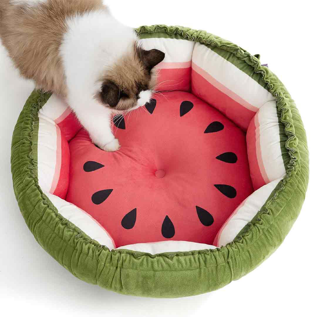 Stunver Cat Beds For Indoor Cats - Washable Cute Cat Beds With ...
