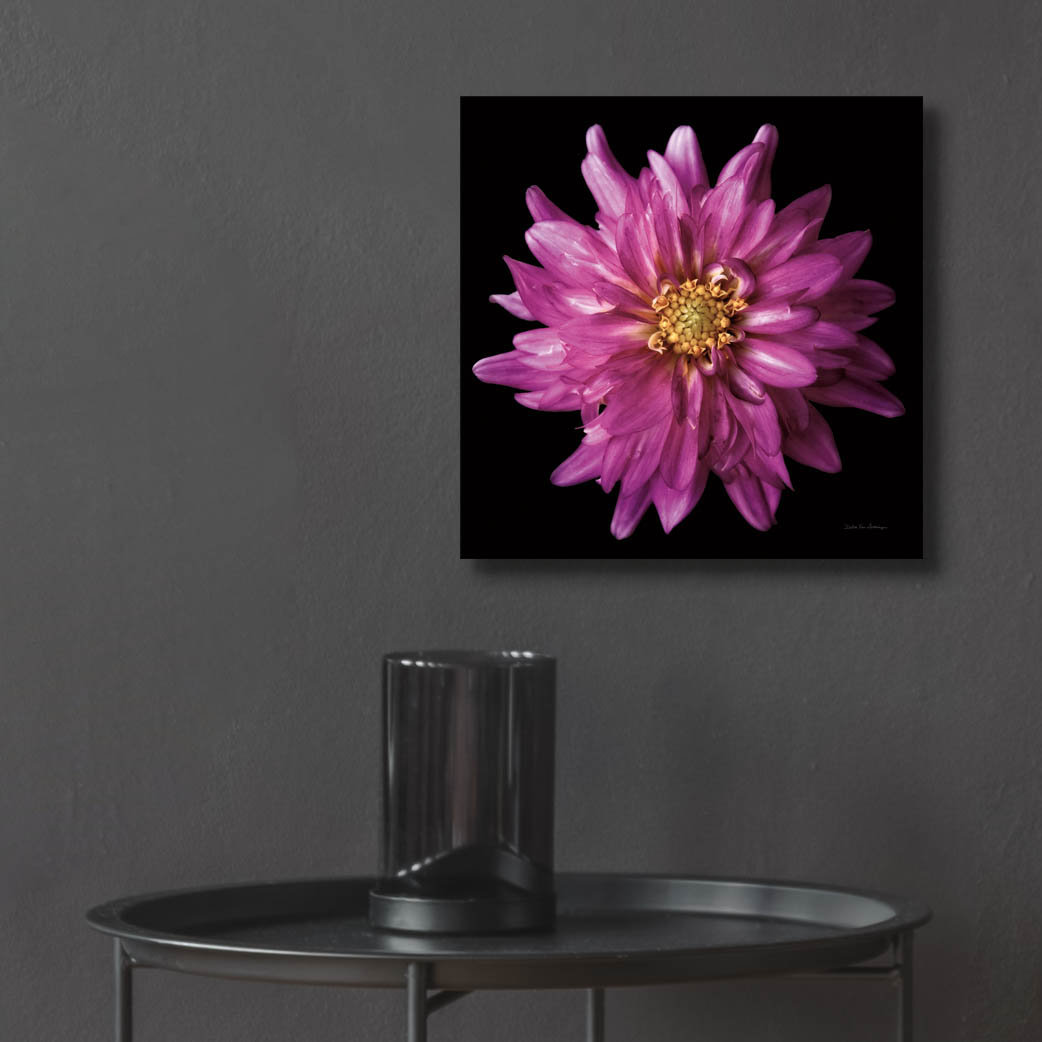 Latitude Run® 'Dahlia 5' by Debra Van Swearingen Acrylic Glass Wall Art ...